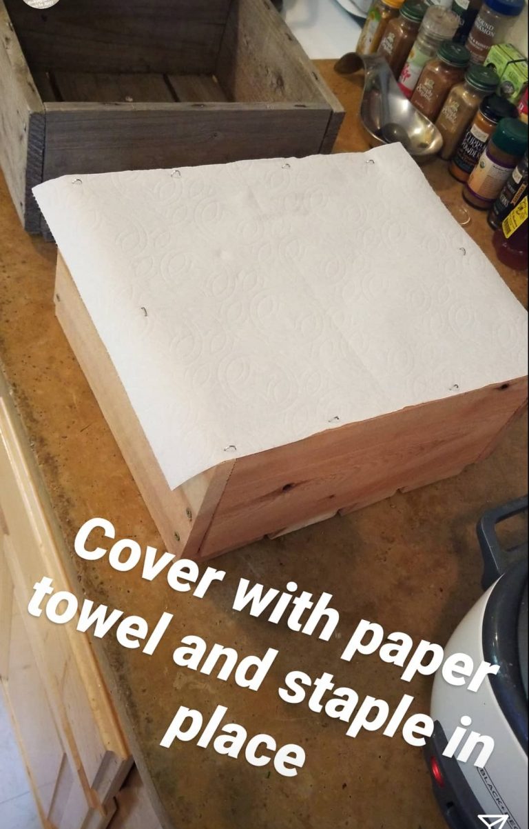 IMO selbst kultivieren – Die erste deutschsprachige Webseite zum Thema ...